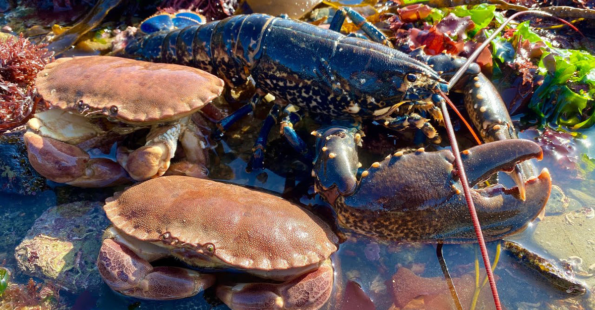 Crustaceans – One World Deli